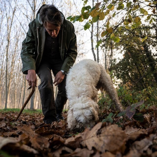 Langhe: Truffle Hunting Tour - Practical Tips for Participants
