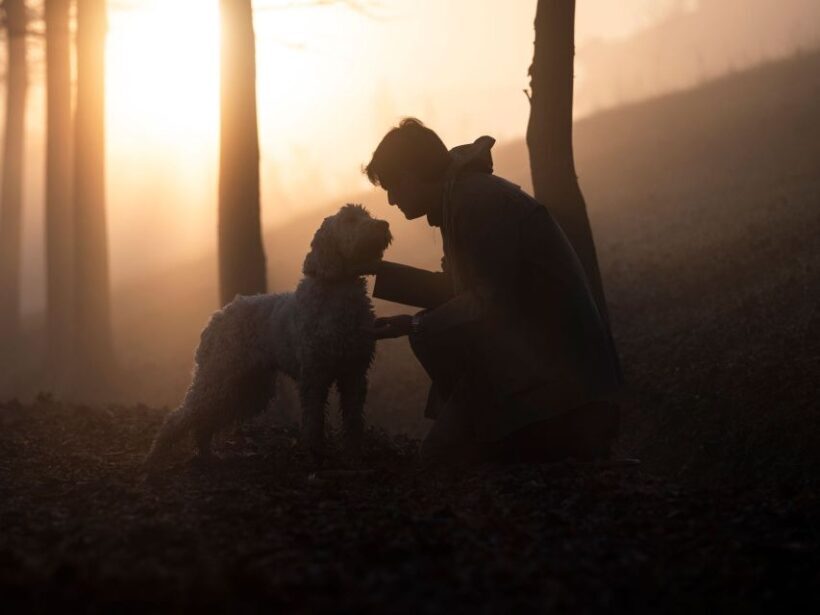 Langhe: Truffle Hunting Tour - Authentic Reviews: What Travelers Say