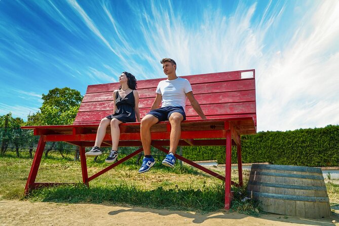 Langhe Vespa Electric Tour - Final Thoughts