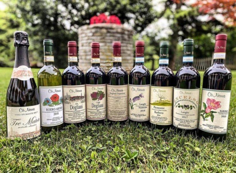 Langhe: Wine and Food Tasting Experience - Discovering the Heart of Langhe’s Food & Wine Scene
