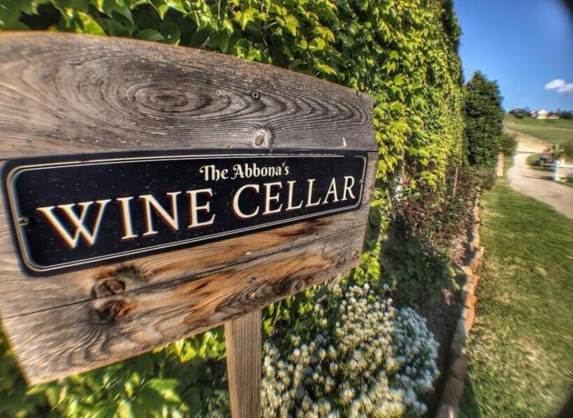 Langhe: Wine and Food Tasting Experience - The Value of This Experience
