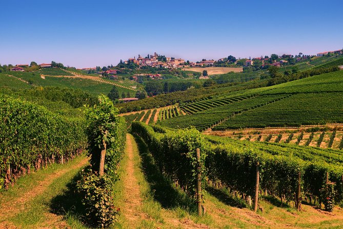 Langhe Wine & Food Tour from Turin: Barolo and More - Key Points