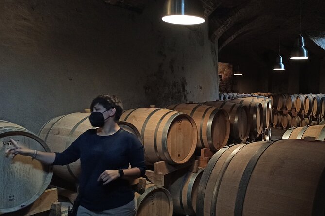 Langhe Wine & Food Tour from Turin: Barolo and More - Authentic Experiences and Genuine Value