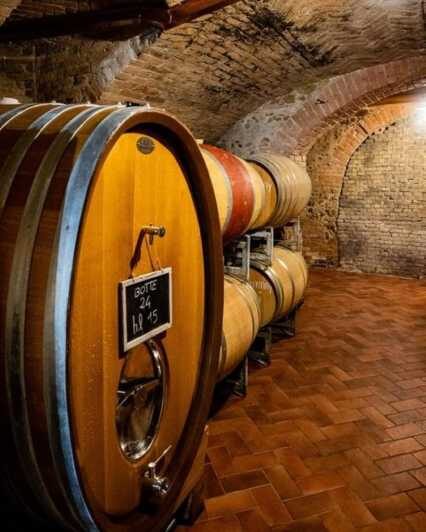 Langhe Wine tour with a Winemaker - Discovering Piedmont’s Charm and Flavors