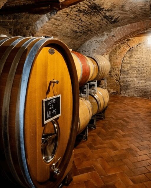Langhe Wine tour with a Winemaker - Practical Details