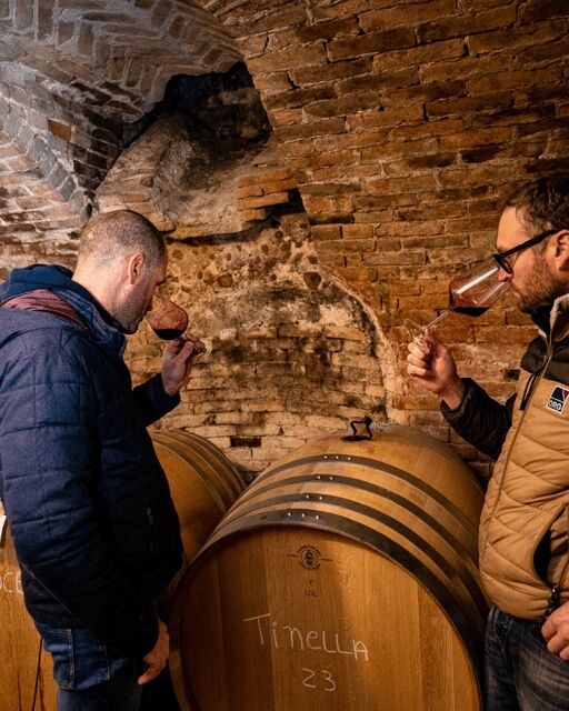 Langhe Wine tour with a Winemaker - Who Will Love This Tour?