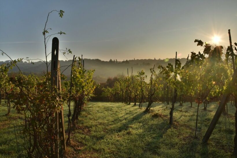 Langhe: Winery Tour and Wine Tasting - FAQ