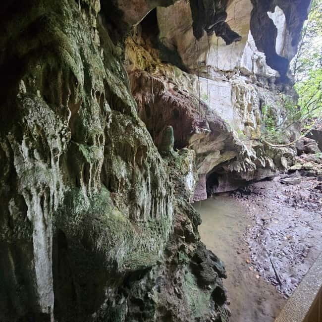 Langkawi: 3-Hour Shared Kilim Geoforest Mangrove Boat Tour - The Sum Up