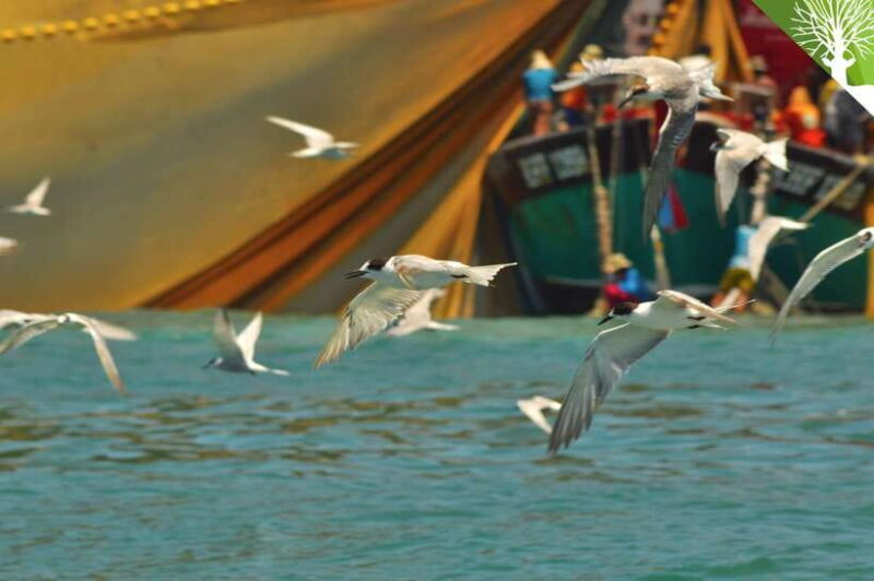 Langkawi: 6-Hour Kilim Mangrove Boat Tour w/ Lunch & Pickup - The Experience of the Day