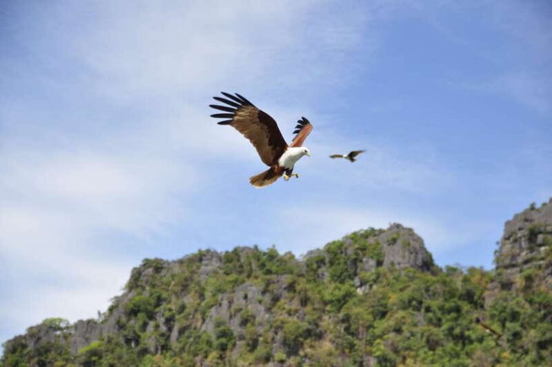 Langkawi: 6-Hour Private Island Highlights Tour - How the Tour Enhances Your Travel Experience