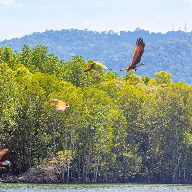 Langkawi: Boat Tour to Magic Island & Mangrove Cruise - Frequently Asked Questions