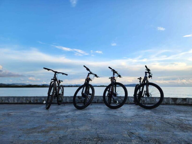 Langkawi : Countryside Cycling Tour - Who Should Consider This Tour?
