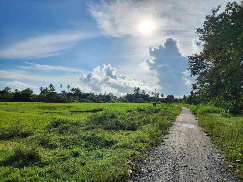 Langkawi : Countryside Cycling Tour - The Sum Up