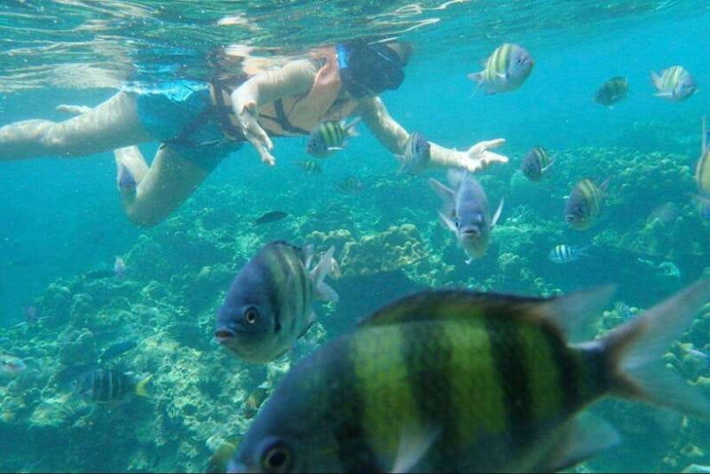 Langkawi: Dangli Island Snorkel and Swim Speedboat Tour - Final Thoughts