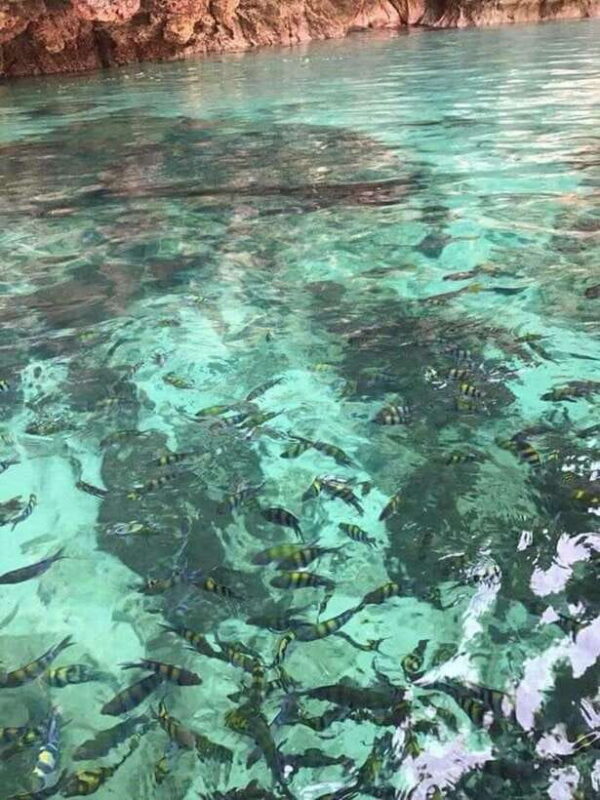 Langkawi Island: Hopping 5 in 1 Grand Tour - Authenticity and Potential Drawbacks