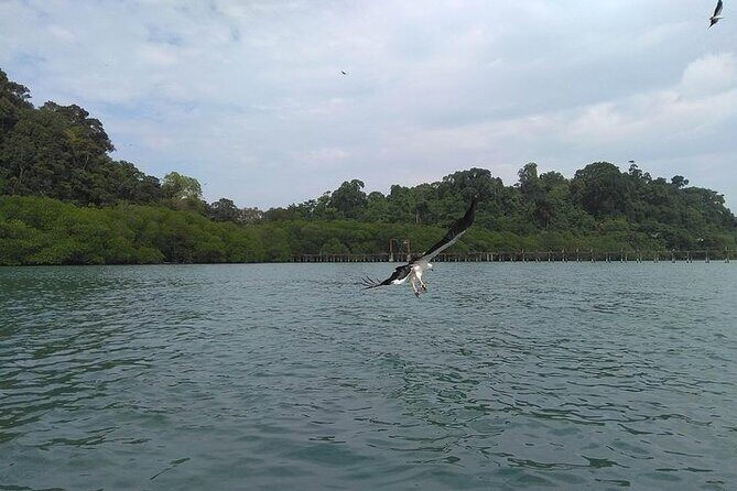 Langkawi Island Hopping Private Boat Tour with Transfer - Who Is This Tour Best For?