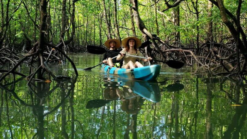 Langkawi : Kilim Geoforest Mangrove Kayak Tour with Lunch - The Itinerary in Detail