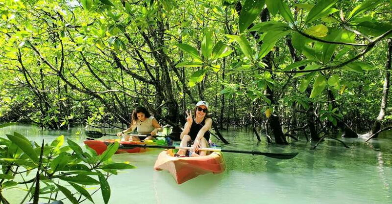 Langkawi : Kilim Geoforest Mangrove Kayak Tour with Lunch - What Reviewers Say