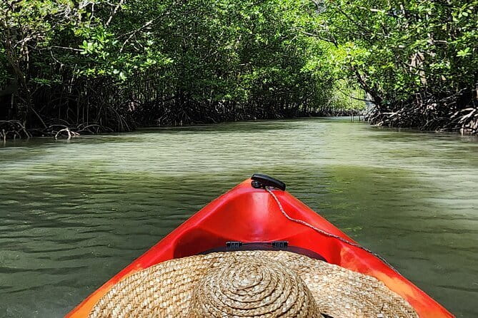 Langkawi Mangrove Kayak Tour by Sham - Who Will Love This Tour?