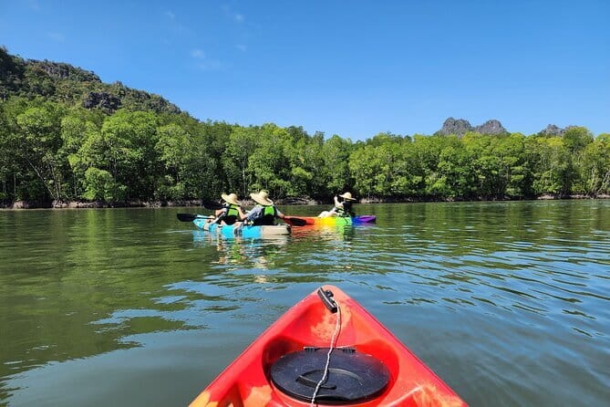 Langkawi Mangrove Kayak Tour by Sham - The Sum Up