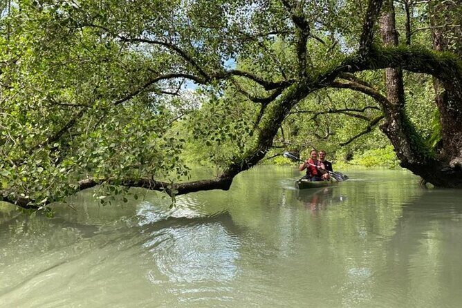 Langkawi Mangrove Kayaking Adventure With Nature Explorer - FAQ