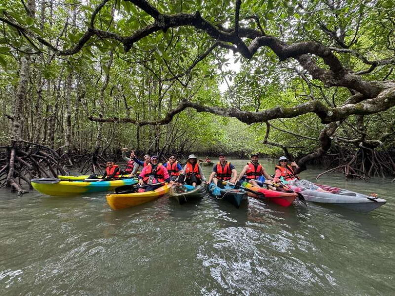 Langkawi: Mangrove Kayaking by Farly - Key Points