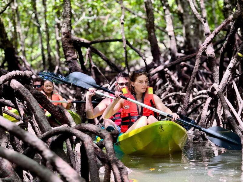 Langkawi: Mangrove Kayaking by Farly - Who Will Love This Tour?