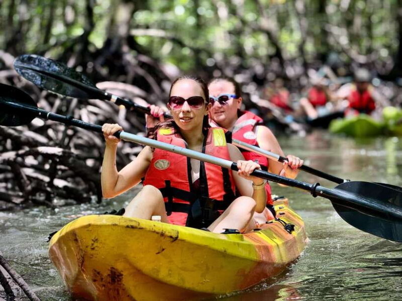 Langkawi: Mangrove Kayaking by Farly - Final Thoughts