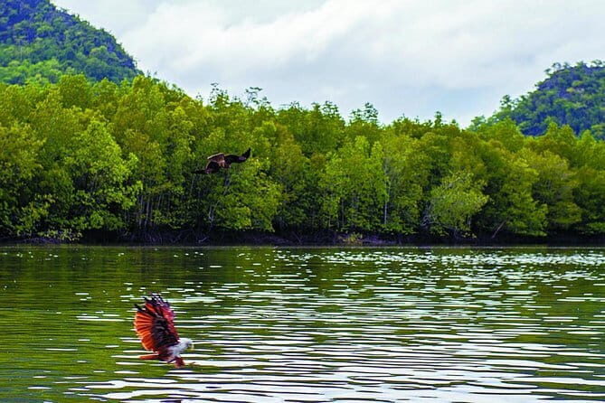 Langkawi Mangrove Kilim UNESCO Geopark and Cave Exploring Tour - Who Should Consider This Tour?