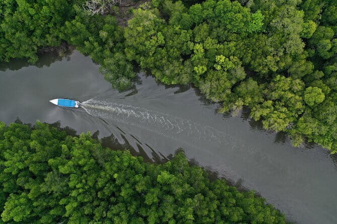 Langkawi Mangrove Kilim UNESCO Geopark and Cave Exploring Tour - FAQ