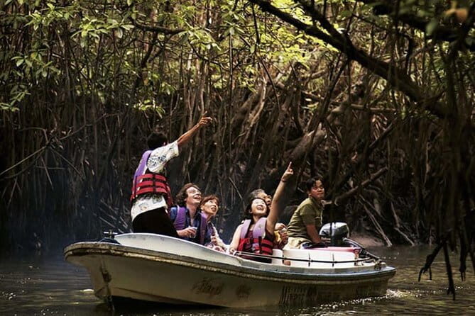 Langkawi Mangrove Kilim UNESCO Geopark and Cave Exploring Tour - In The Sum Up
