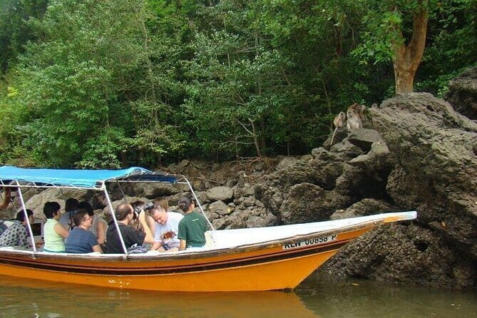 Langkawi Mangrove Kilim UNESCO Geopark and Cave Exploring Tour - Discovering Langkawi’s UNESCO Geopark: A Practical Tour Guide