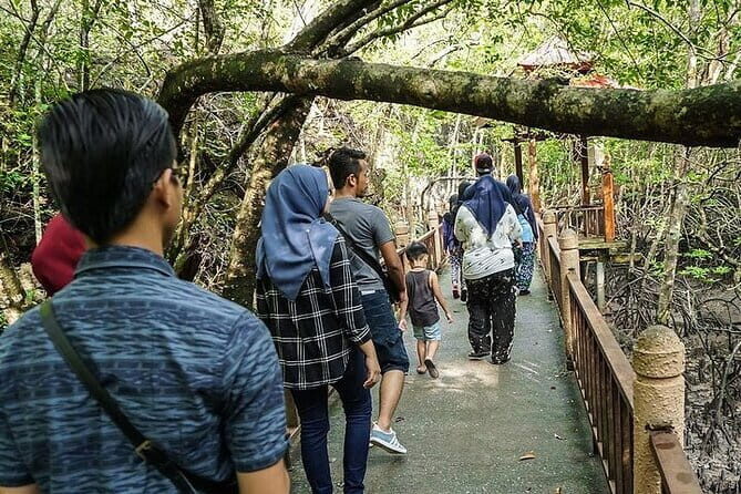 Langkawi Mangrove Kilim UNESCO Geopark and Cave Exploring Tour - Key Points