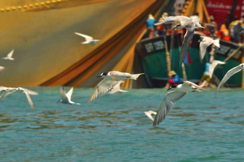Langkawi: Mangrove Kilim UNESCO Geopark & Cave Tour - The Sum Up