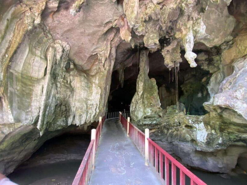 Langkawi Mangrove Monkey Package - What’s Included and What’s Not?