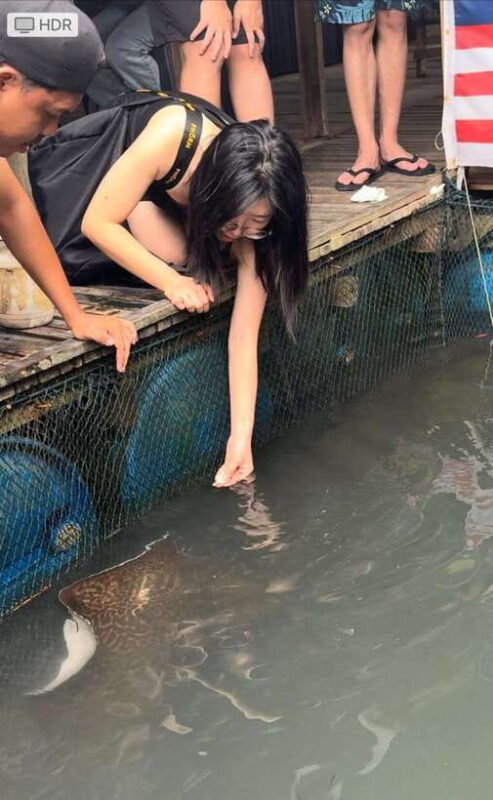 Langkawi Mangrove Monkey Package - Practical Tips for Travelers