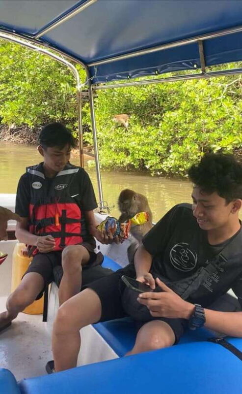 Langkawi Mangrove Monkey Package - The Sum Up: Who Should Consider This Tour?