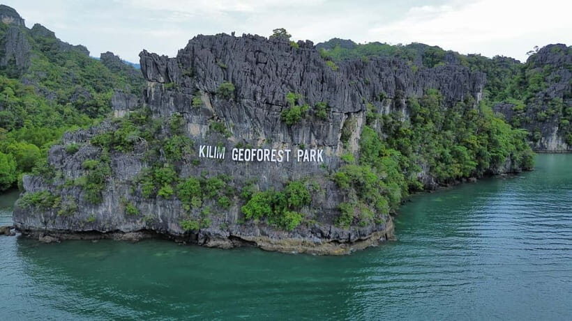 Langkawi: Mangrove River Cruise Sharing 3 Hours - An In-Depth Look at the Langkawi Mangrove River Cruise