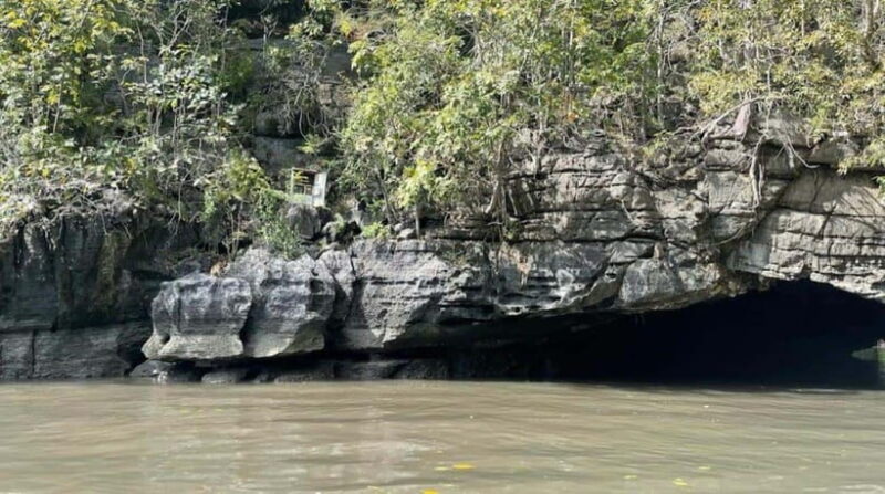 Langkawi Mangrove : Sharing Boat 3Hour estimated (lunch) - An In-Depth Look at the Langkawi Mangrove Boat Tour