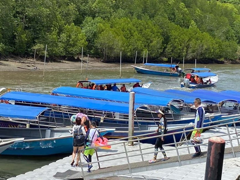 Langkawi Mangrove Tour : Estimated 1 hour Lunch Available - Authentic Experience and What Travelers Say