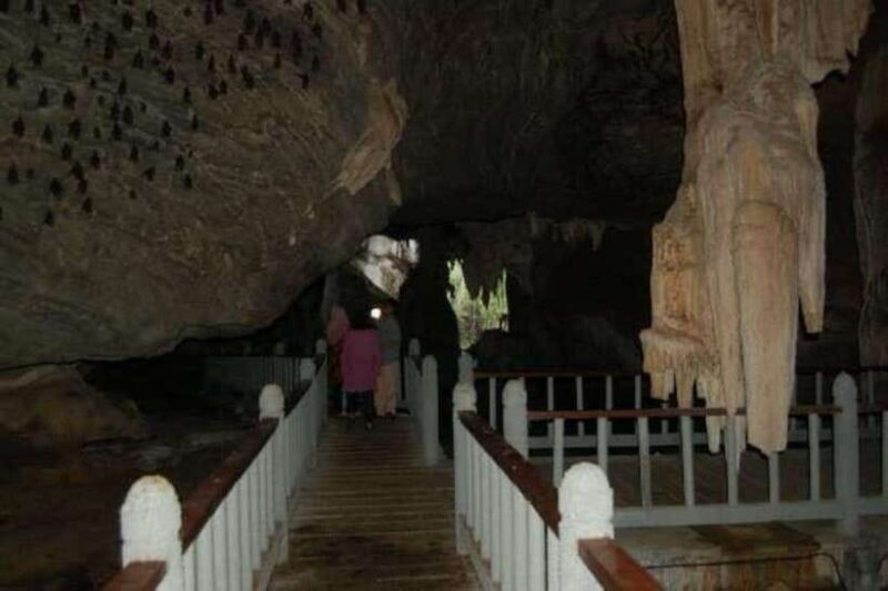 Langkawi Mangrove Tour : Estimated 2 hours Lunch Available - Key Points