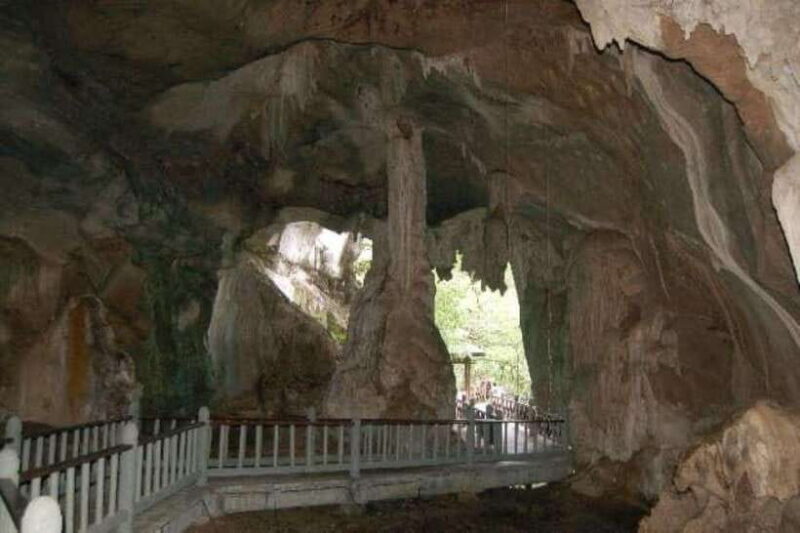 Langkawi Mangrove Tour : Estimated 2 hours Lunch Available - Practical Tips for Travelers