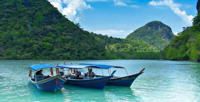Langkawi: Mangrove Tour with Kilim Geoforest Park & Bat Cave - The Sum Up: Is It Worth It?