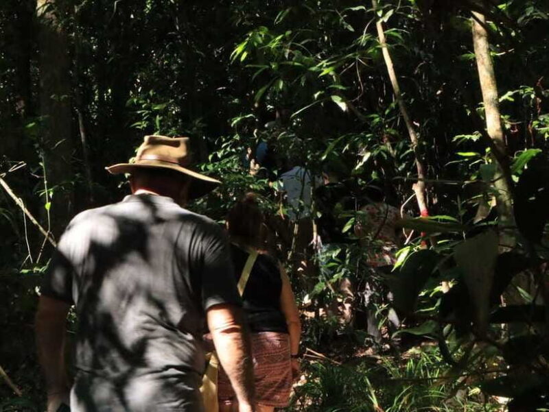 Langkawi: Morning Rainforest Walking Tour - Who Should Consider This Tour?