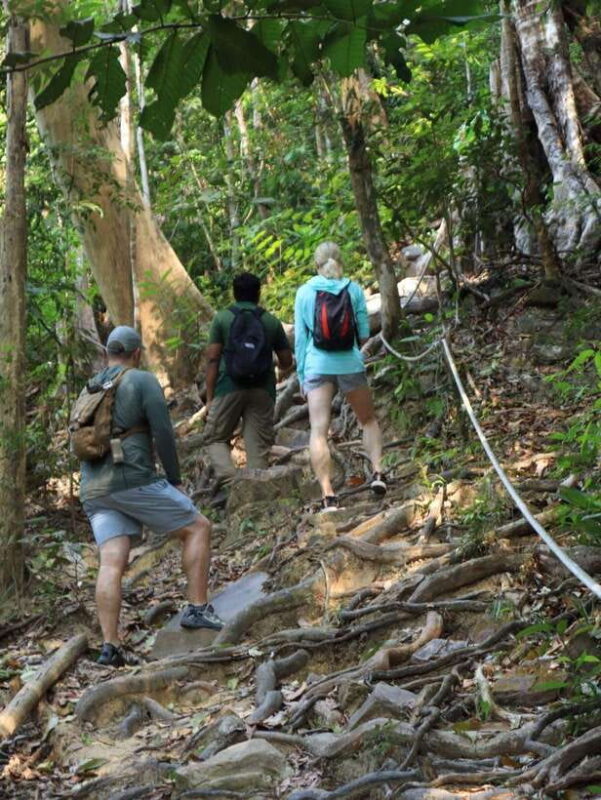 Langkawi: Mount Matchinchang Hiking Tour - An Overview of the Langkawi Mount Matchinchang Hiking Tour