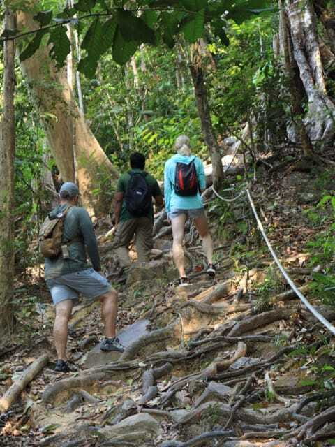 Langkawi: Mount Matchinchang Hiking Tour - Who Should Consider This Tour?