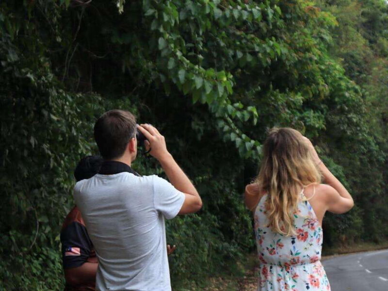 Langkawi: Nighttime Rainforest Tour with Nature Guide - Detailed Breakdown of the Itinerary