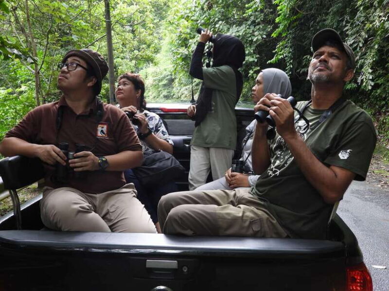 Langkawi: Nighttime Rainforest Tour with Nature Guide - What the Reviews Say
