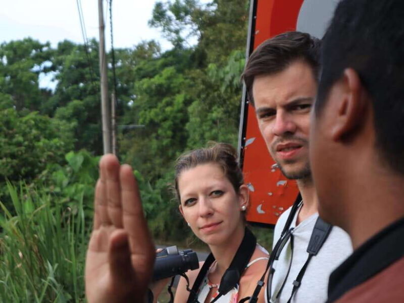 Langkawi: Nighttime Rainforest Tour with Nature Guide - FAQ