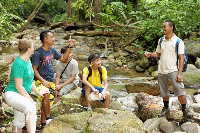 Langkawi Rainforest Jungle Trekking Tour with Private Pickup - An Honest Look at the Rainforest Trekking Experience